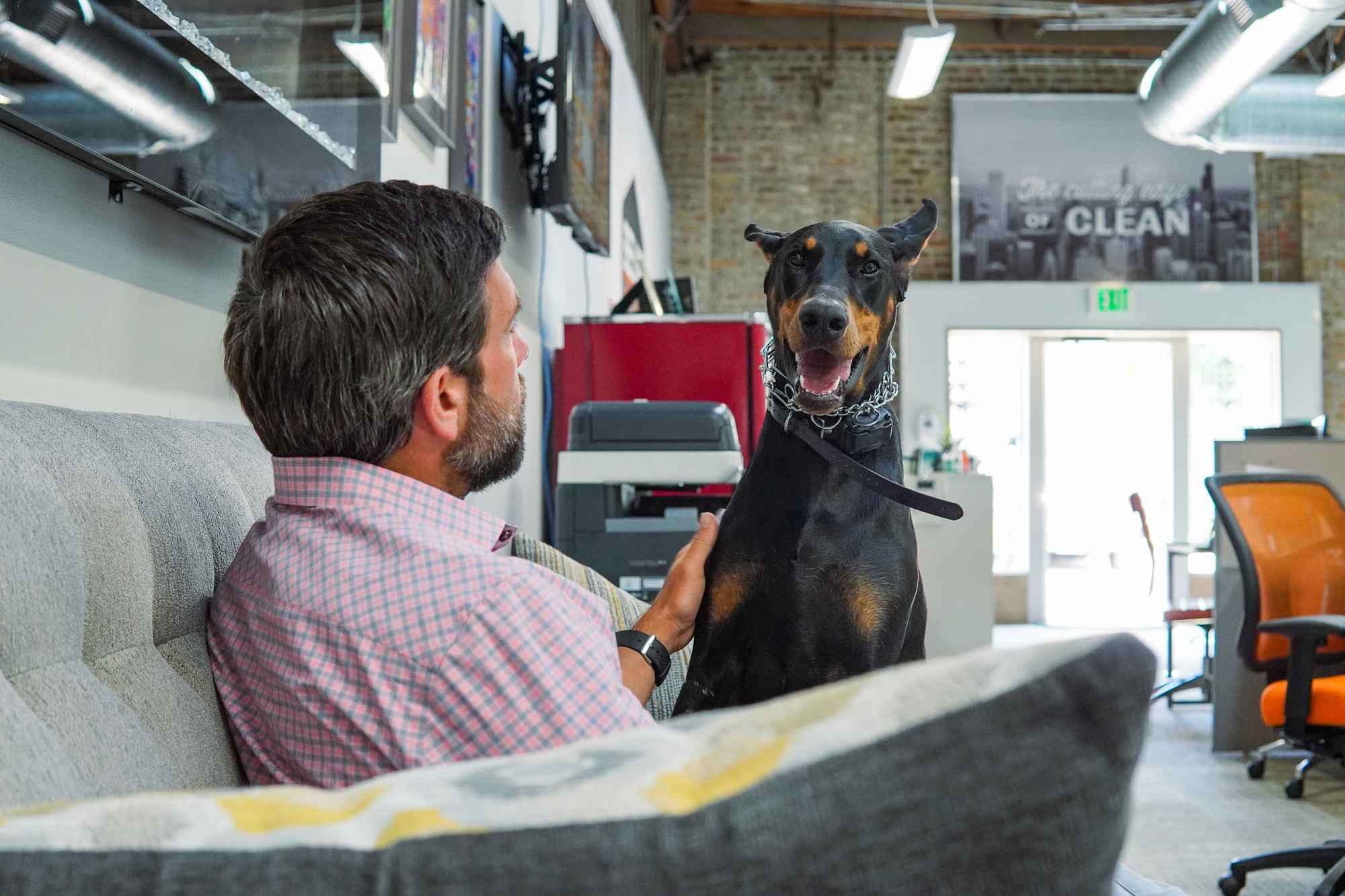 Bee Line Automated Work Order System | Bee Line