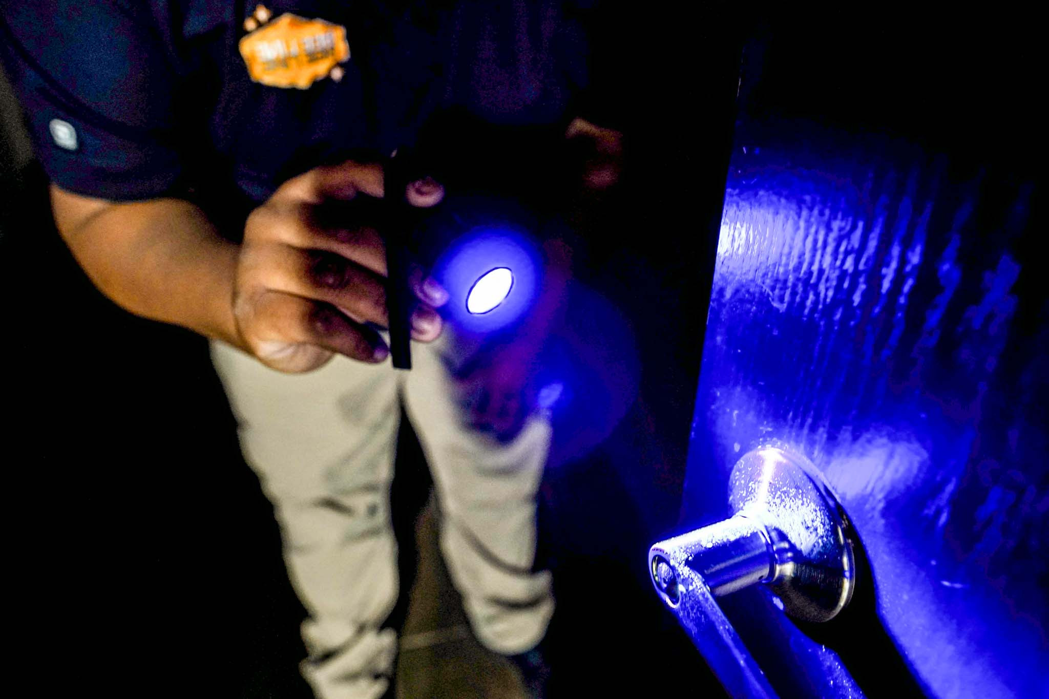 Bee Line’s Black Light Auditing System – Landing Page | Bee Line