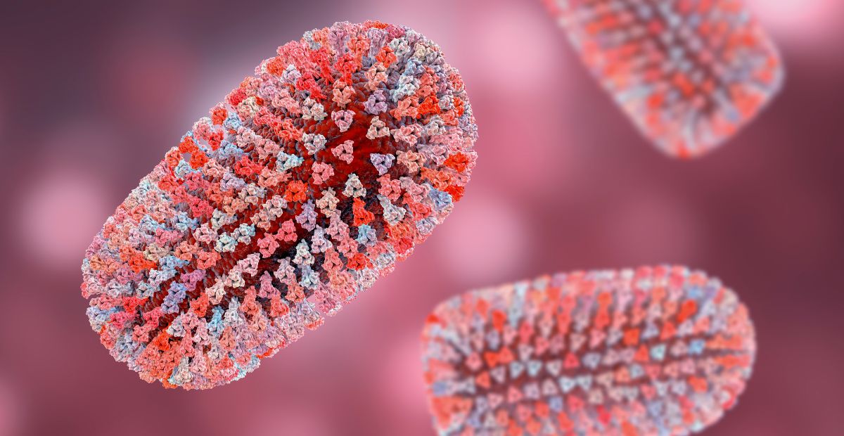 Preventing Cross-Contamination: How Bee Line Support Safeguards Your ...